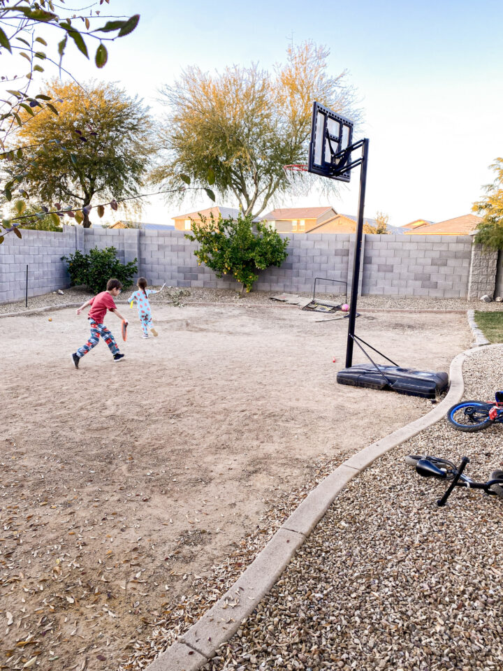 2023 Project Plan - Amy Lanham