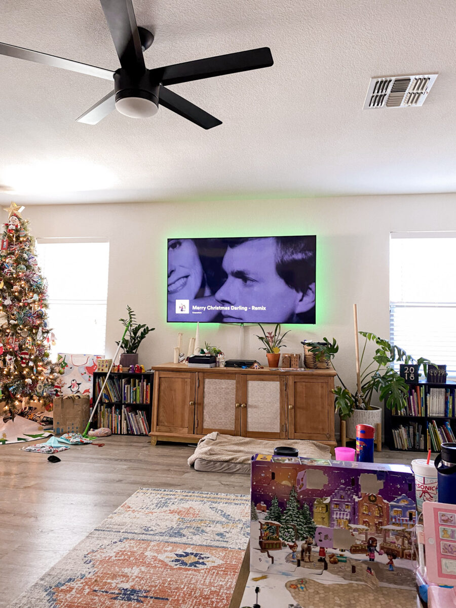 2023 Project Plan - Amy Lanham