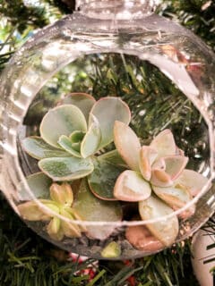 Terrarium Ornaments